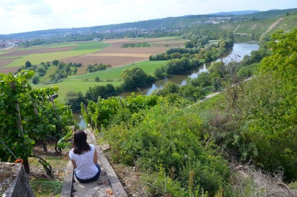 Felsengärten Hessigheim