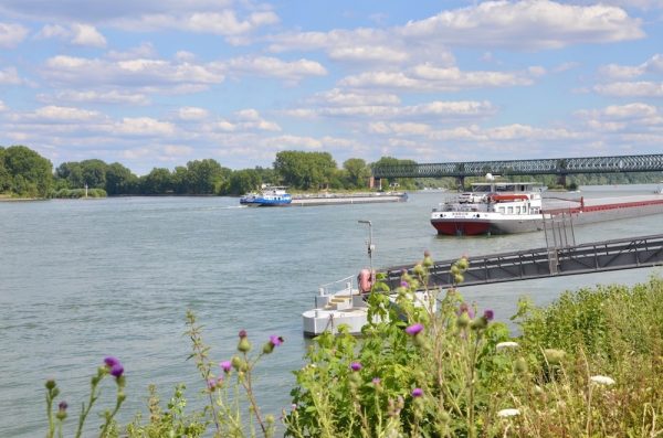 Mainz Sehenswürdigkeiten & Tipps - Unterwegs & Daheim